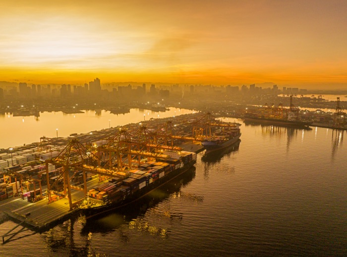 Our Company | ICTSI Investors